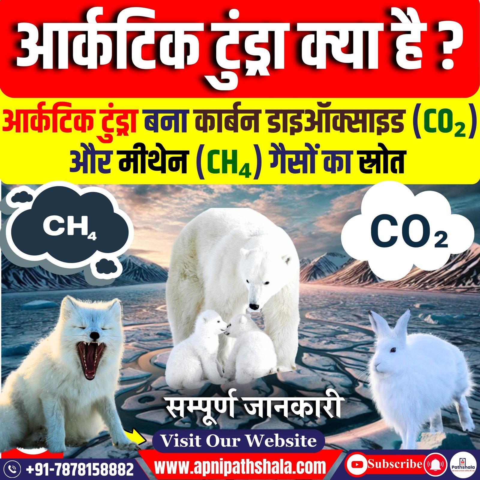 आर्कटिक टुंड्रा - Apni Pathshala