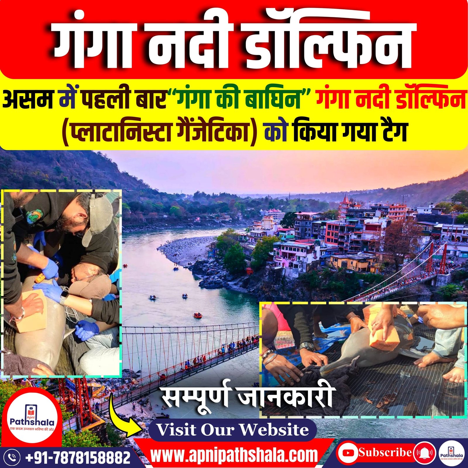 गंगा नदी डॉल्फिन - Apni Pathshala